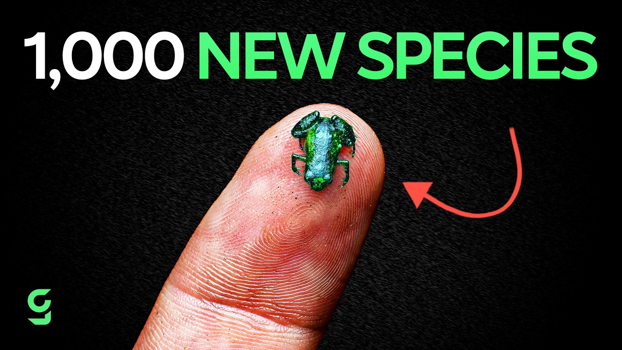 I just found 1,000 new species! 🦋