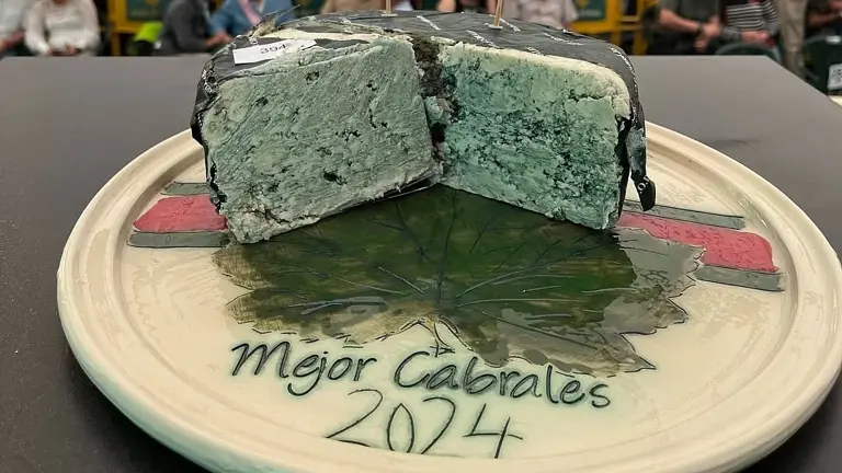 The Most Expensive 'Cheese Wheel' In The World Sells For ₹36 Lakhs