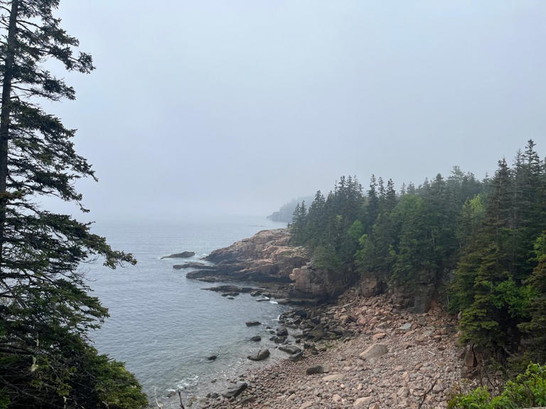 Acadia National Park with Kids: A Guide