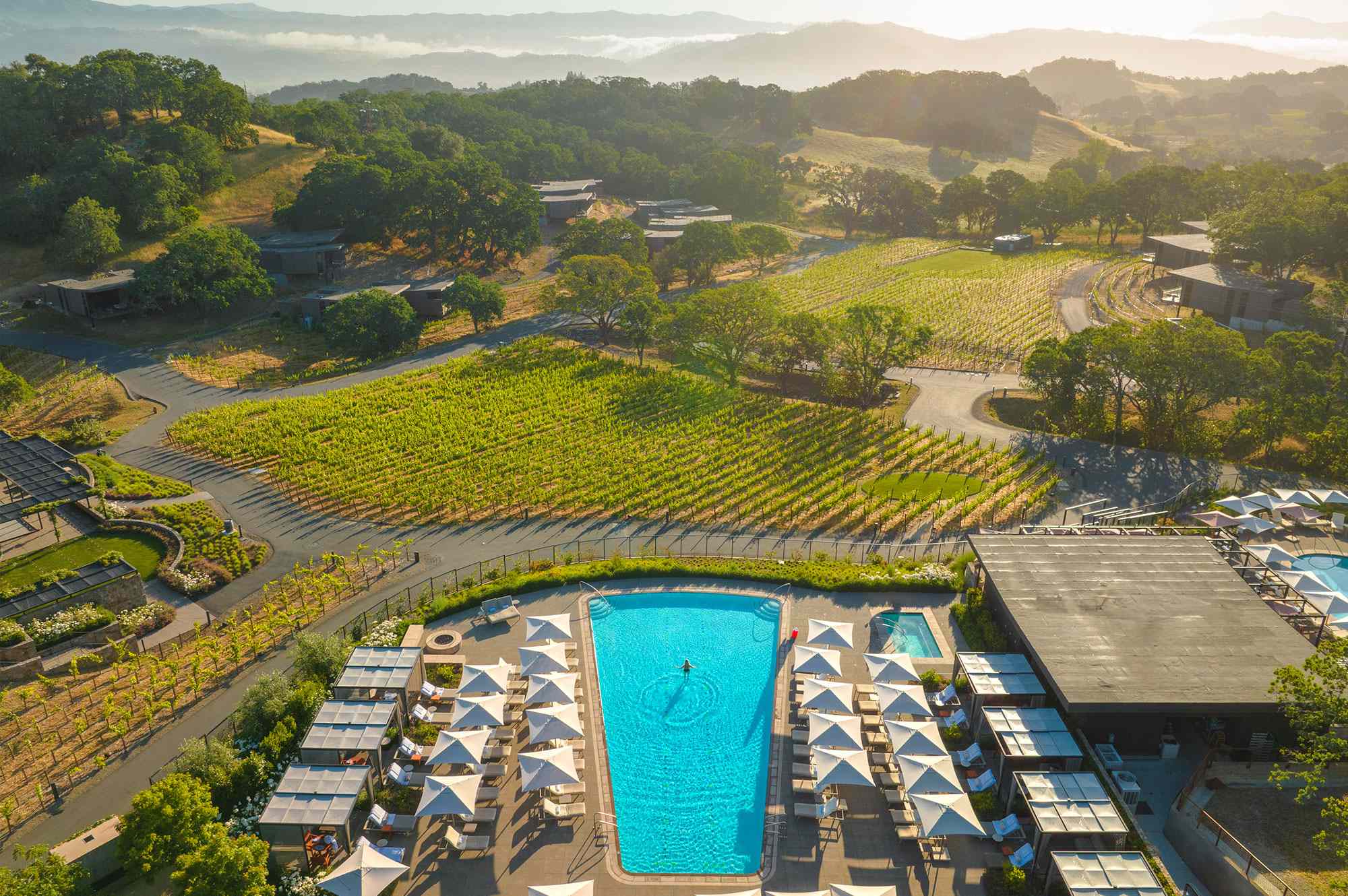 This Wine Country Resort Feels Like a Modern Treehouse—and It Has ...
