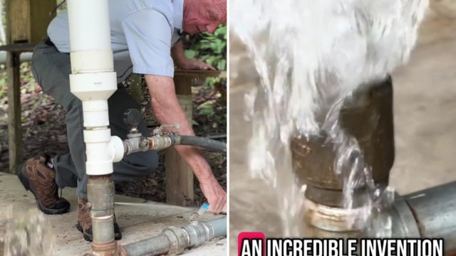 Sustainable-living expert shares mind-blowing old-school trick for ...