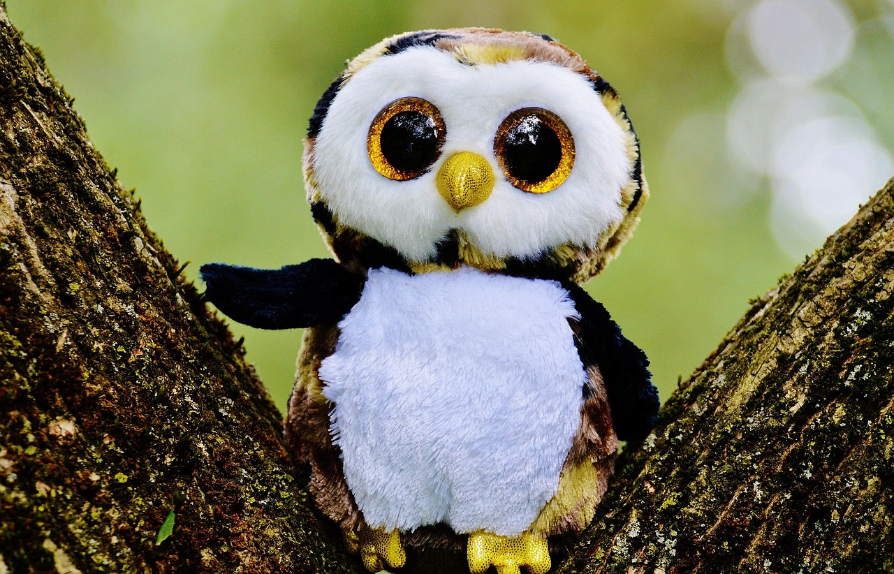 12 Collectibles You Think Are Valuable That Your Kids Consider Junk