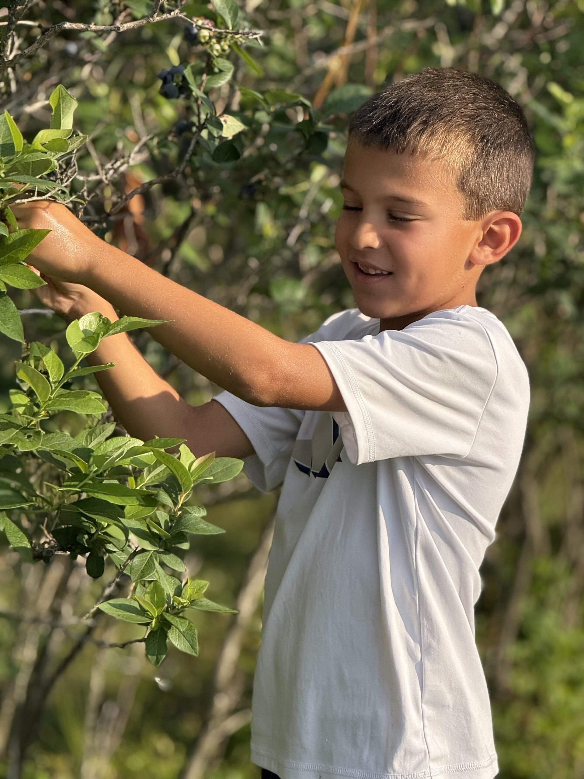 Local couple preserves family blueberry farm legacy, following Army ...