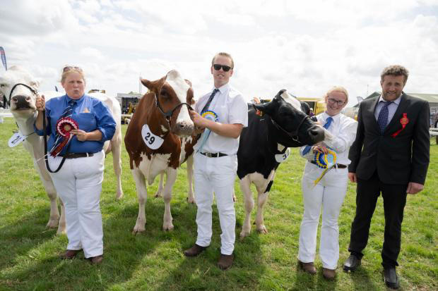 Sunshine draws the crowds and the smiles for Stithians Show 2025