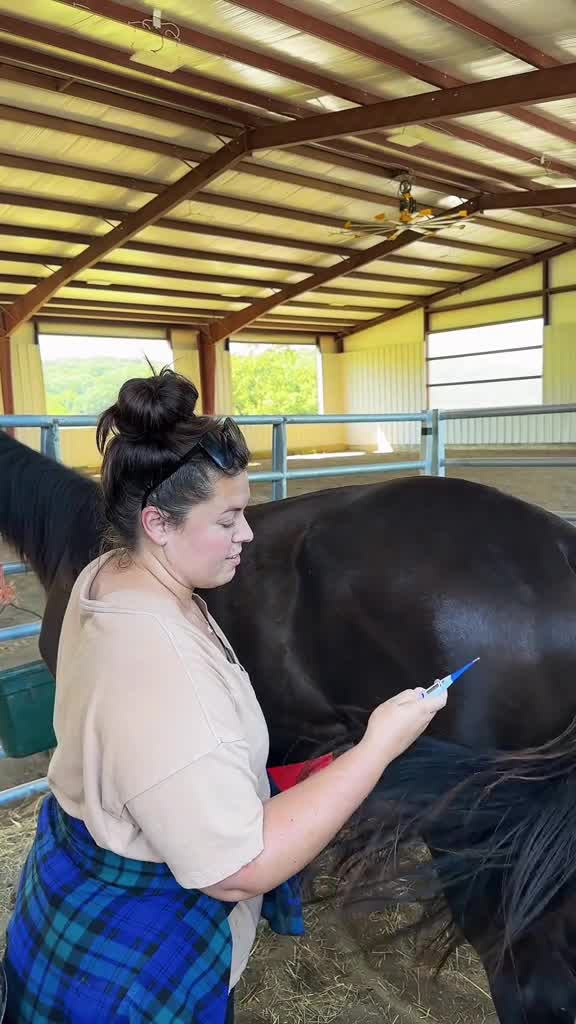 Barn Quarantine Update: How I Check My Horse’s Temperature