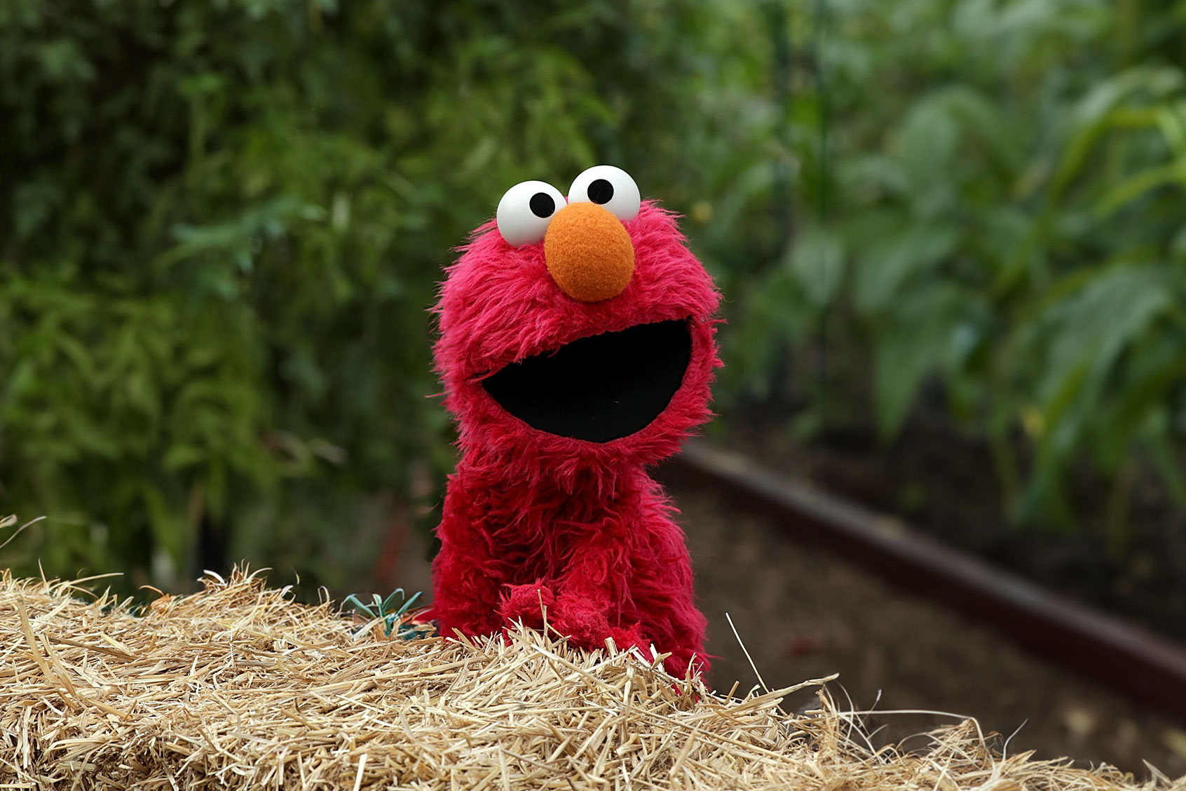 Elmo’s X account shares “disgusting” messages after hack