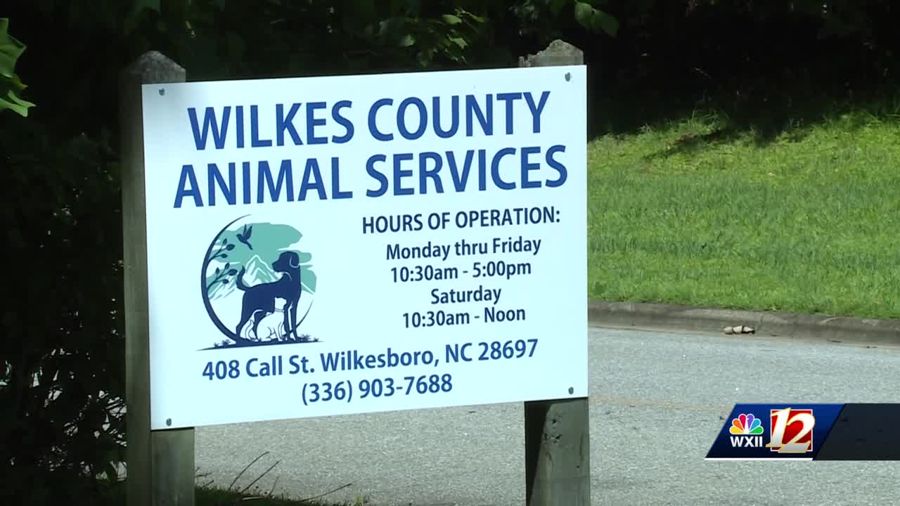 Rabid fox attack in Wilkes County sends 11-month-old puppy into ...