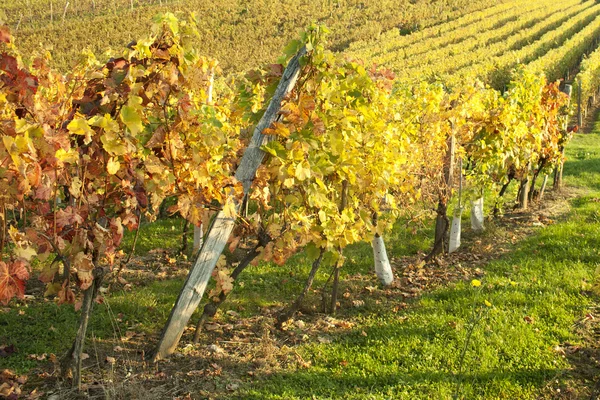 17 Must-Visit Wineries in Napa That Welcome Newbies