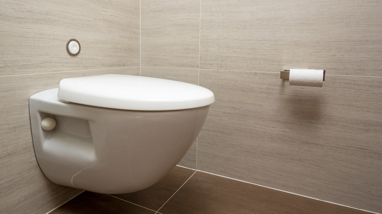 What To Know Before Buying A New Toilet For Your Bathroom