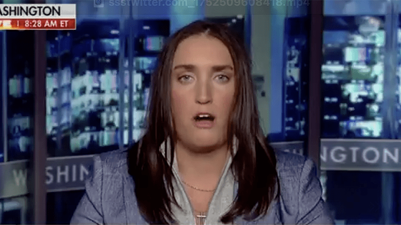 ICE official may have blown court challenge with Fox interview: legal ...