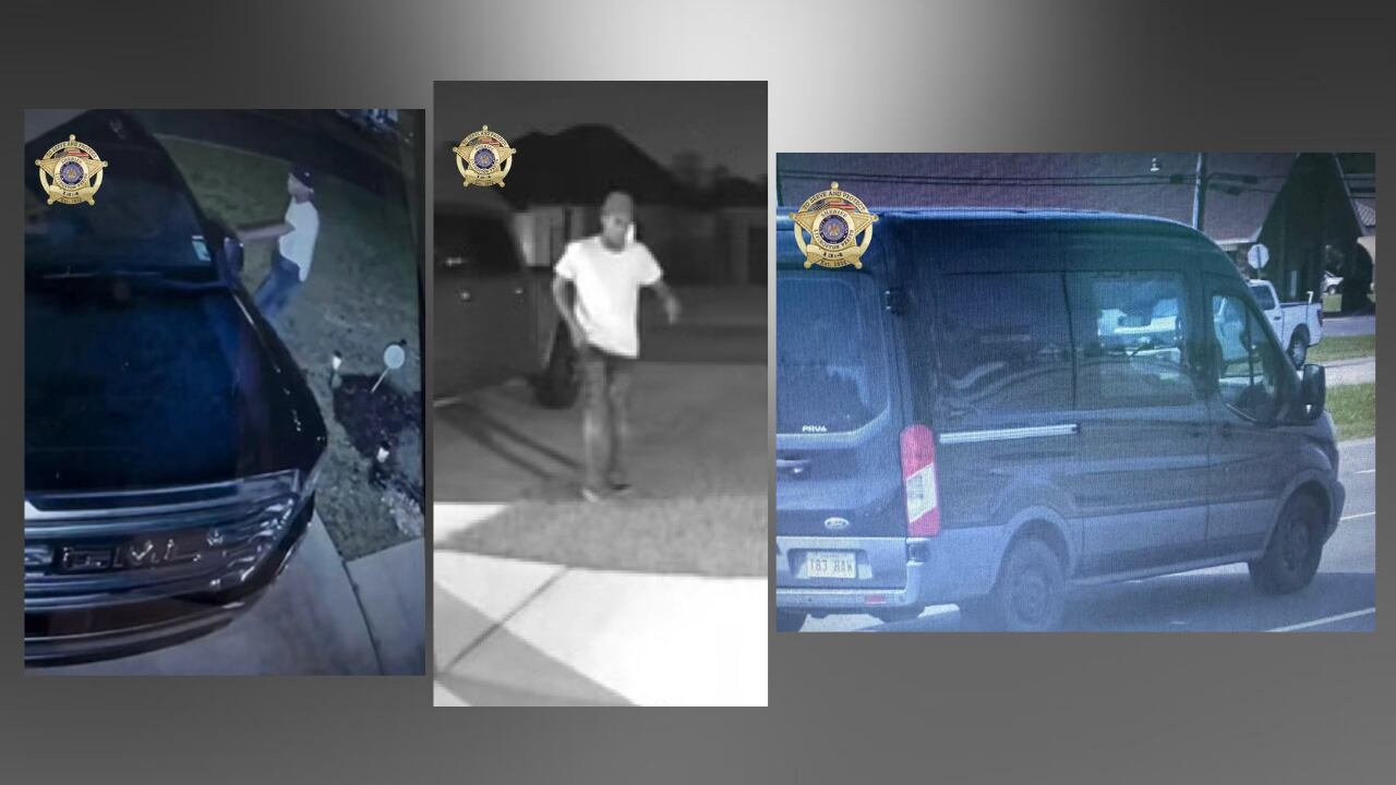 Deputies investigate vehicle break-ins, car theft in Livingston Parish