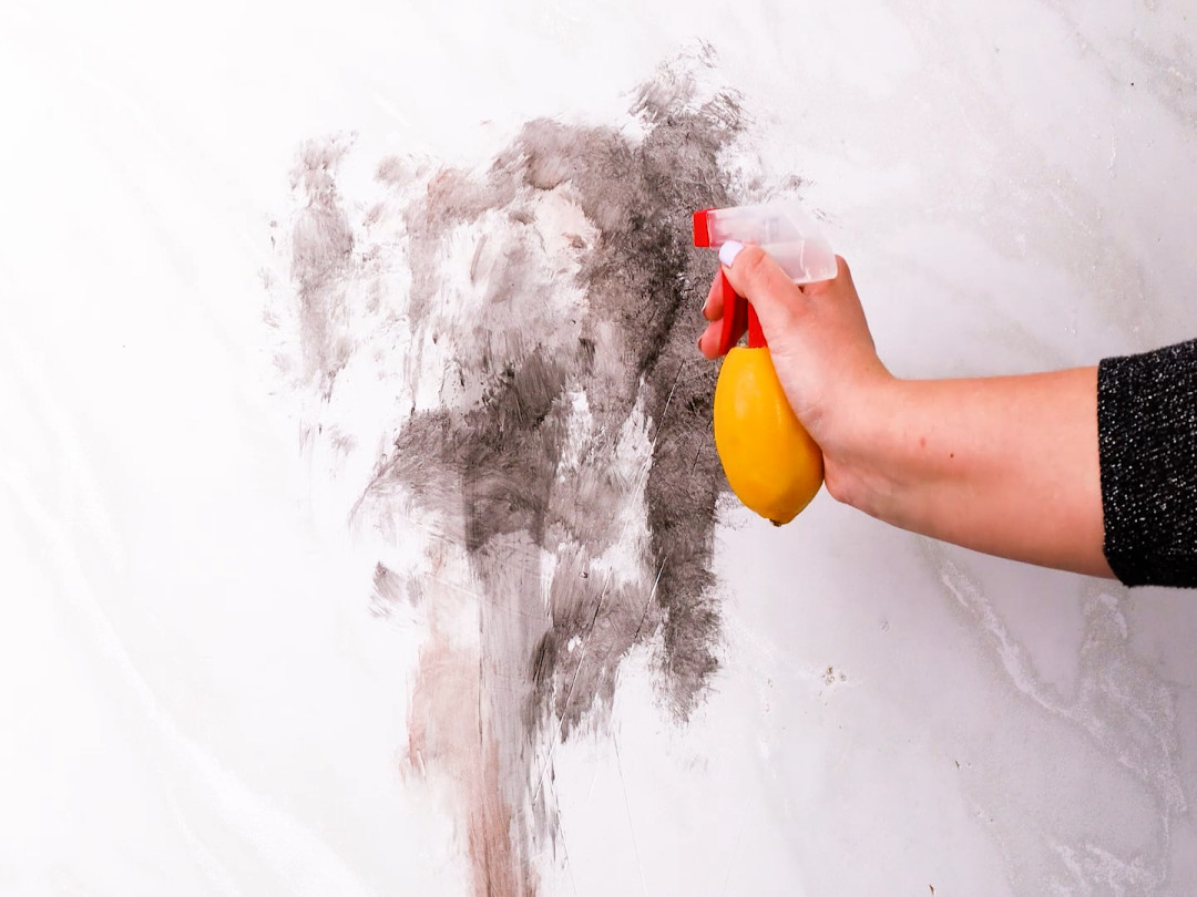 Fun DIY Projects to spark your Creativity