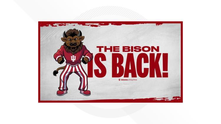 Indiana University resurrects bison mascot after six-decade absence