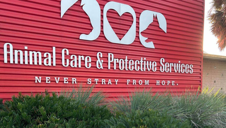 Jacksonville’s Animal Care and Protective Services (ACPS) partners with ...