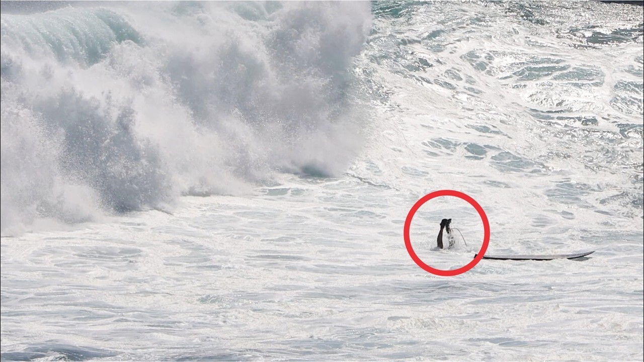 Uluwatu opening scene features a dramatic deep water escape