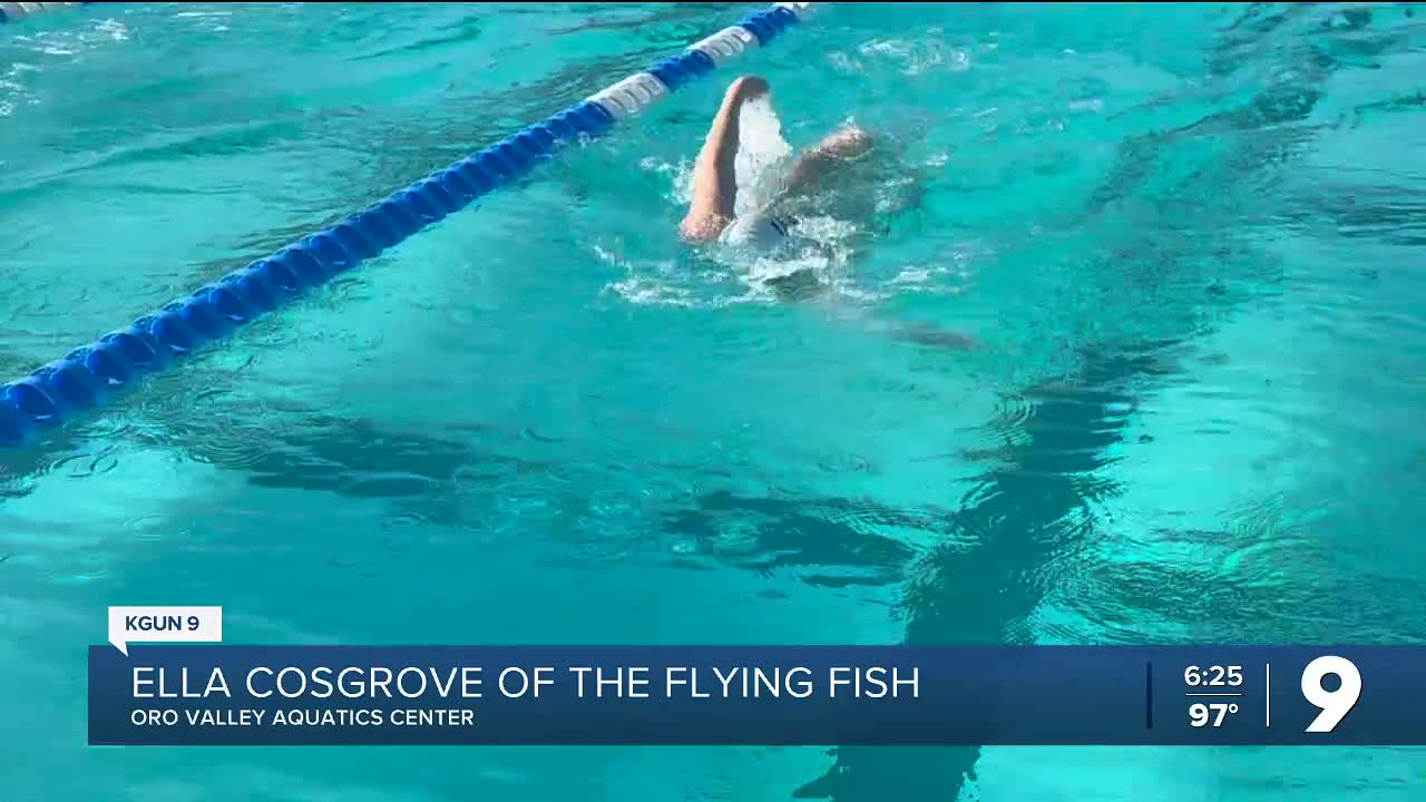 FAST: Flying Fish of Arizona Swim Team