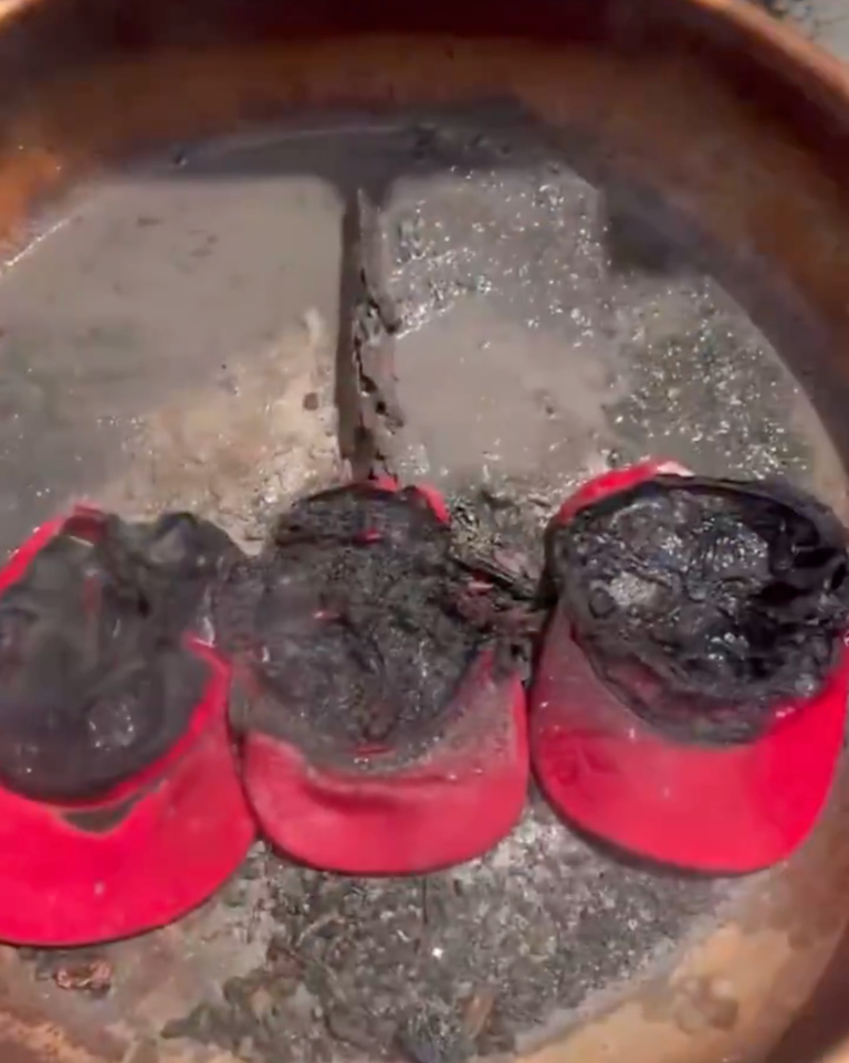 Videos Of MAGA Voters Burning Their Hats Are Going Viral Amid The Whole ...