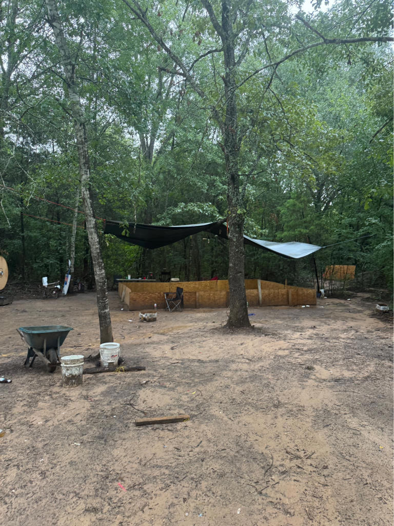 9 arrested after weekend Athens cockfight investigation