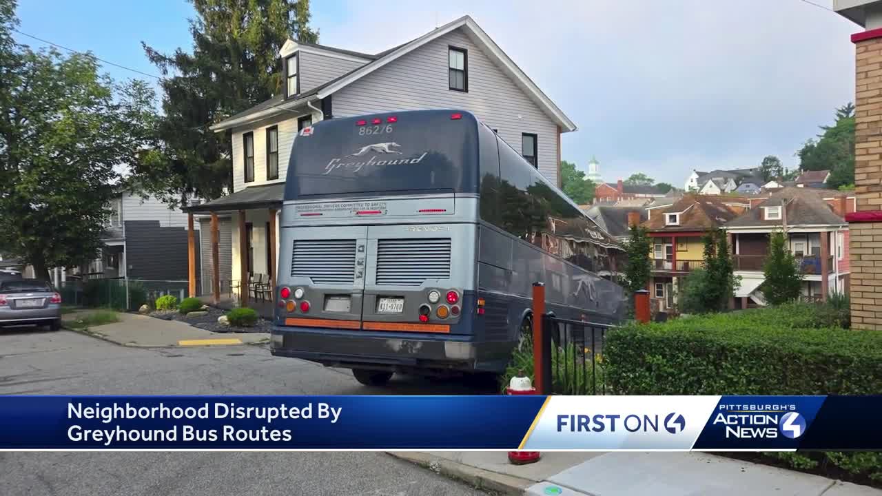 Greyhound issues statement after buses cause chaos along steep ...