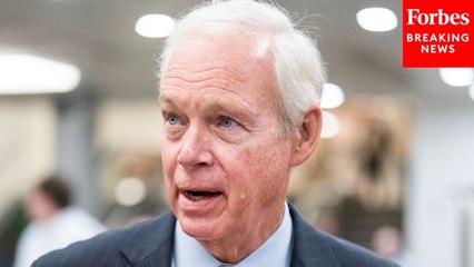 'You Have A Hostile Tone': Constituent Laces Into Ron Johnson During ...