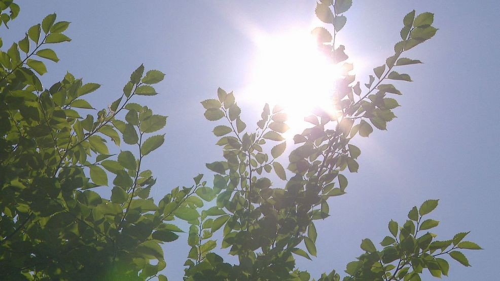 Lessons learned from deadly 1995 heat wave when Wisconsin temps reached ...