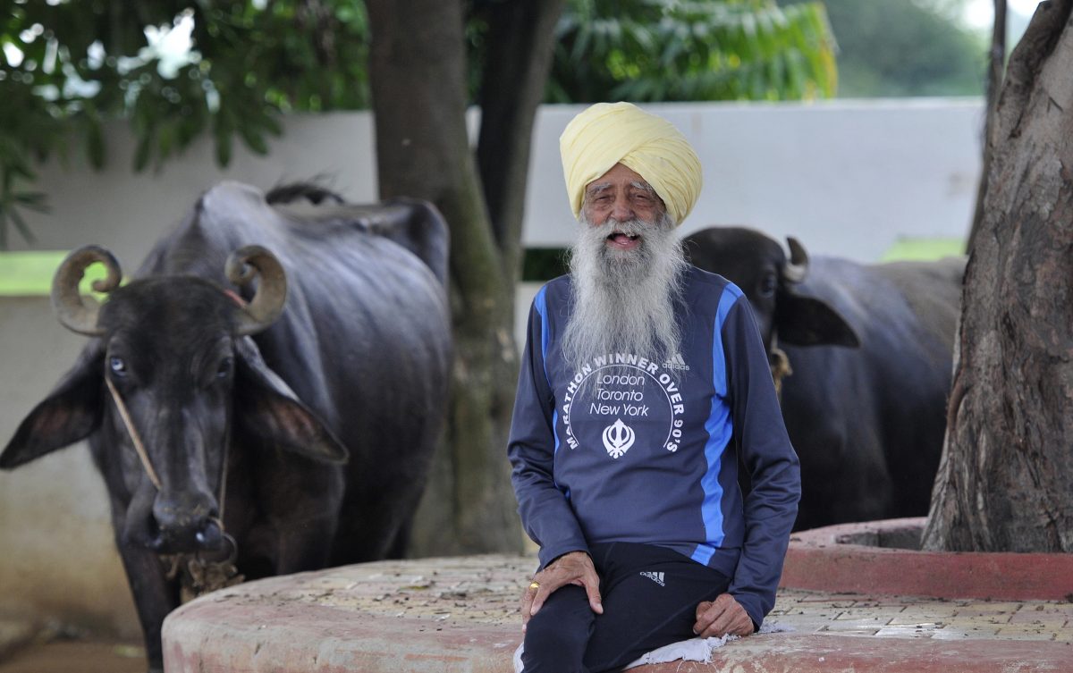 114-year-old marathon runner dies after being hit by car