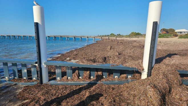 Yorke Peninsula Council reviews $3.8m Marion Bay boat ramp over safety ...