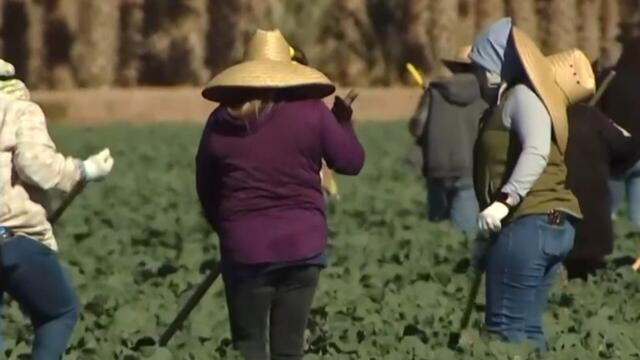 Group of California farm workers announce 3-day strike, call for end of ...