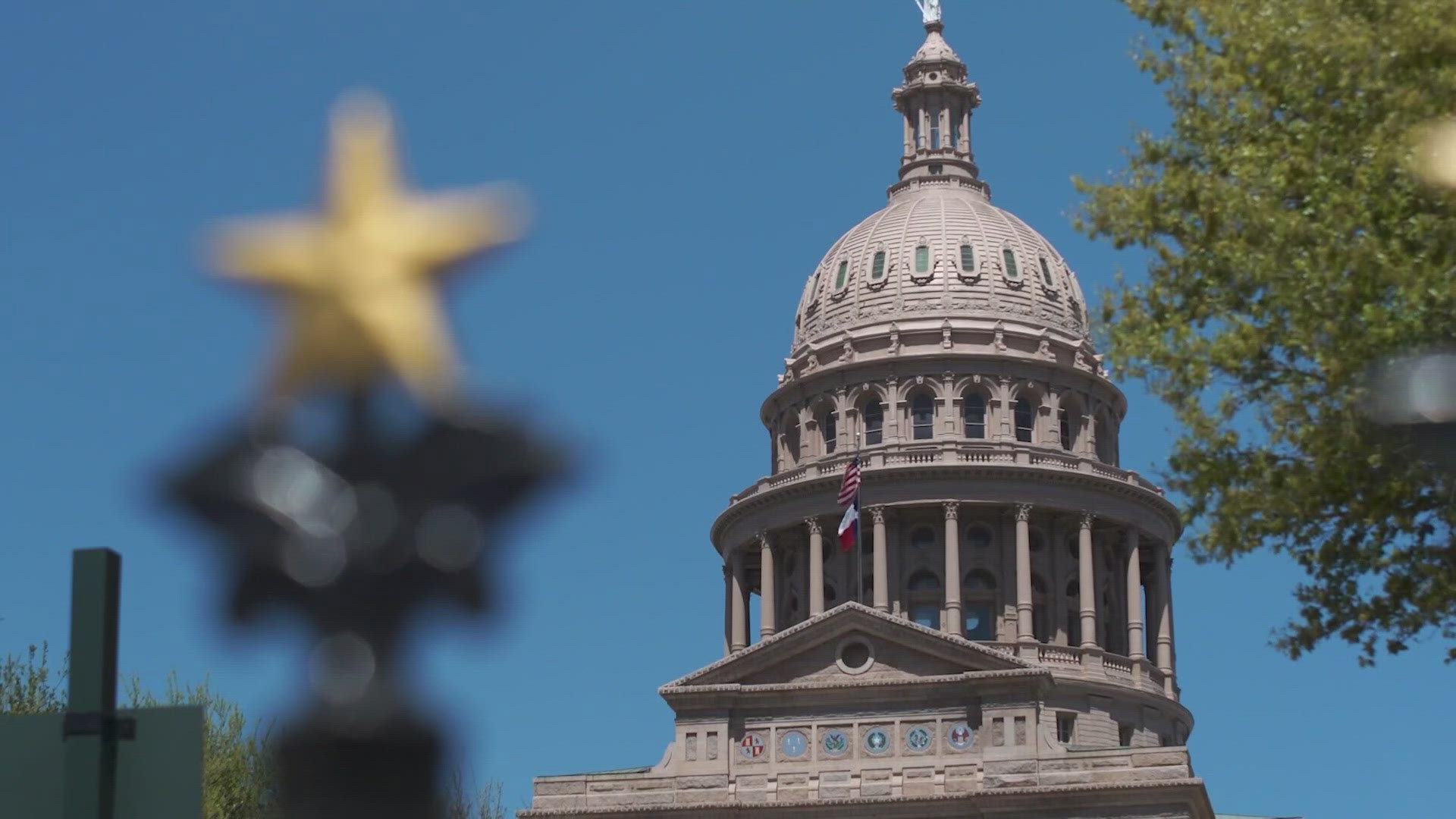 Texas State Representative Hillary Hickland speaks on upcoming Special ...