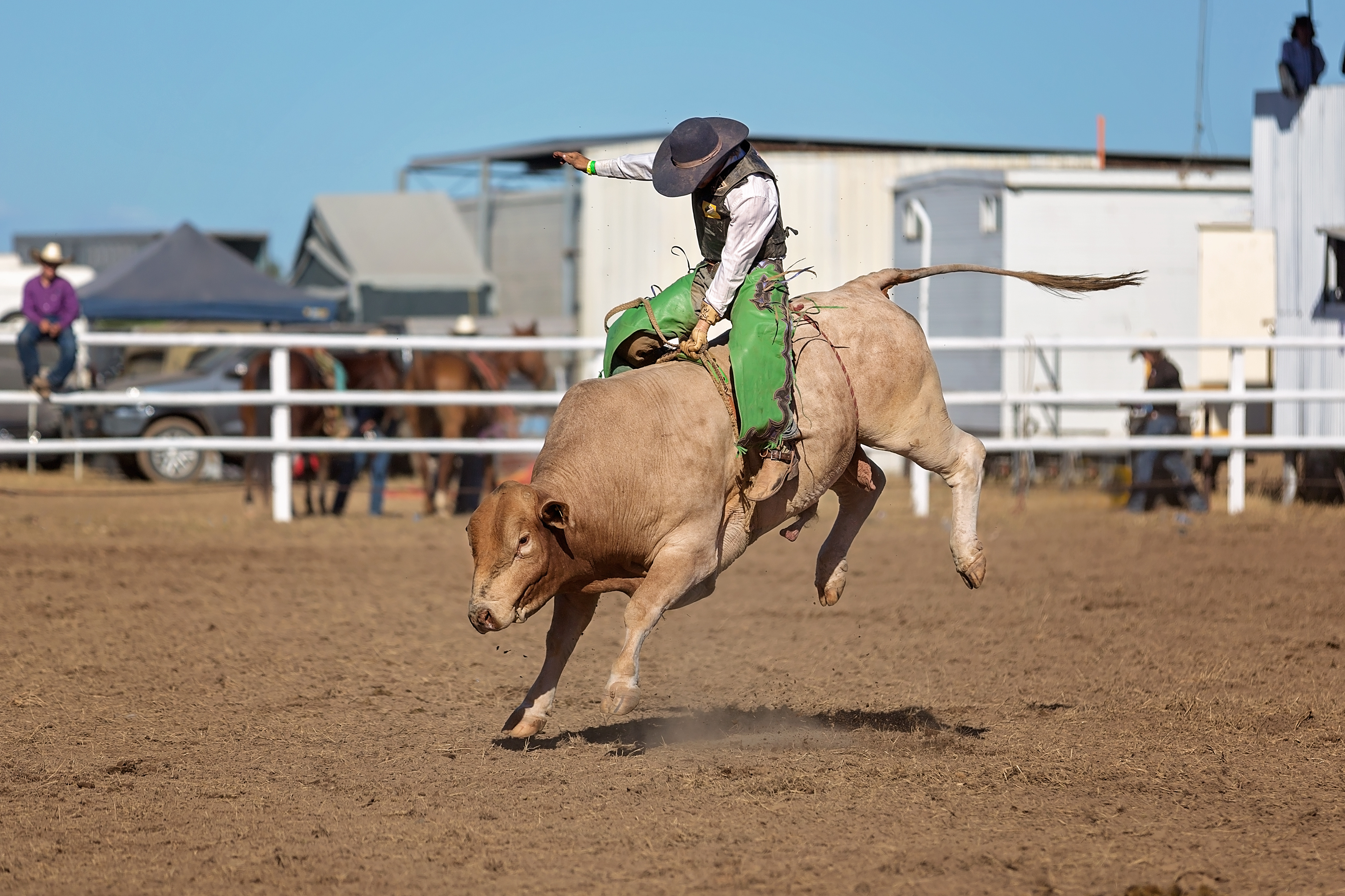 Tickets for bull riding show at 2025 Boone County Fair going fast