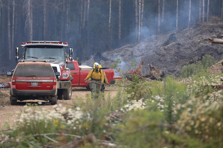 Toonerville fire evacuations lifted as crews further containment, Bear ...