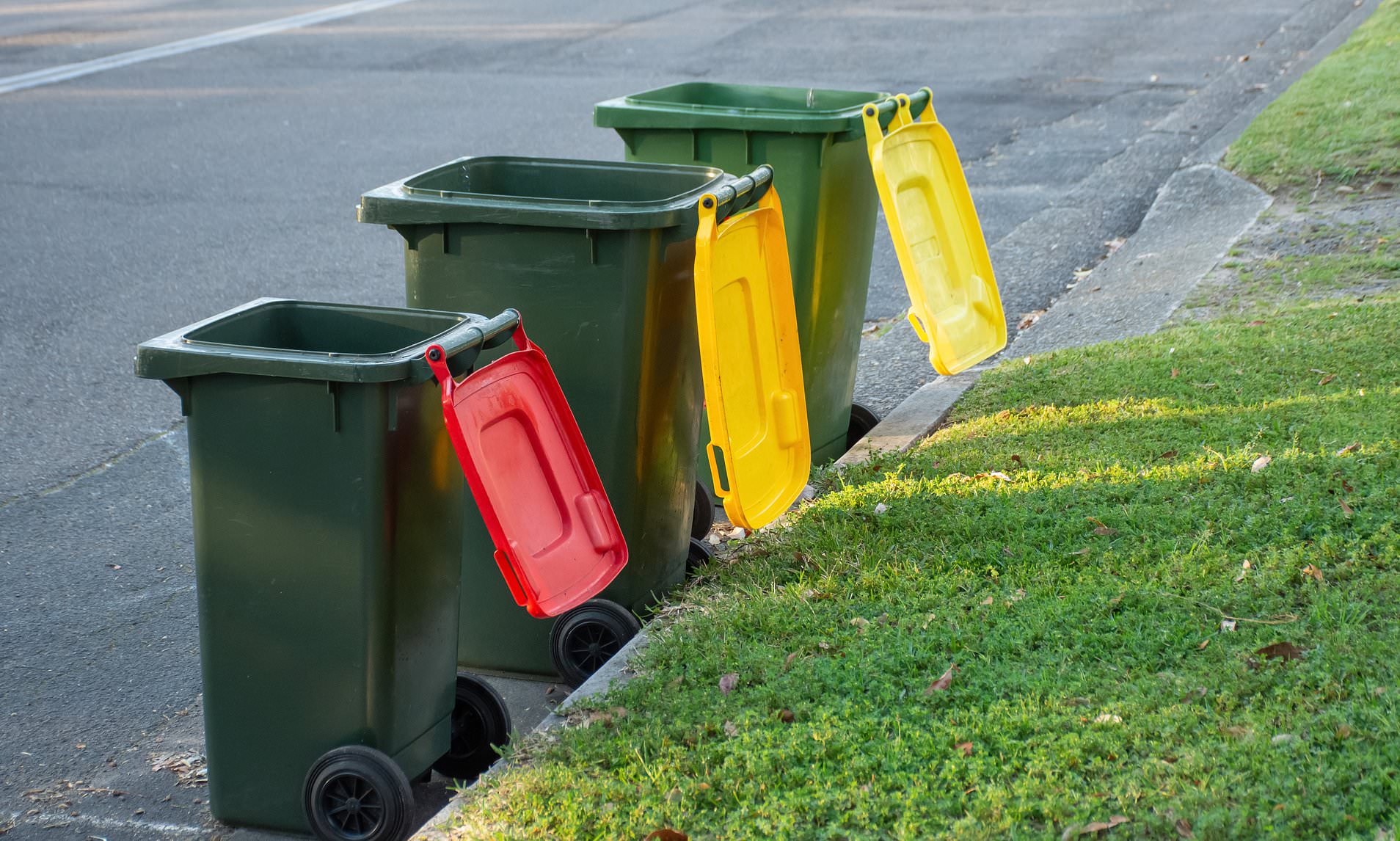 The important recycling rule that most Aussies break on bin night: A ...