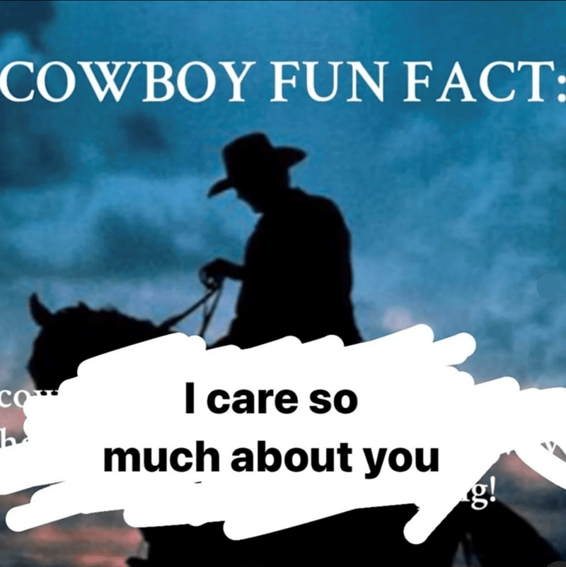 21 Funniest Rootin' Tootin' Yeehaw Memes for Cowboys and Cowgirls Who ...