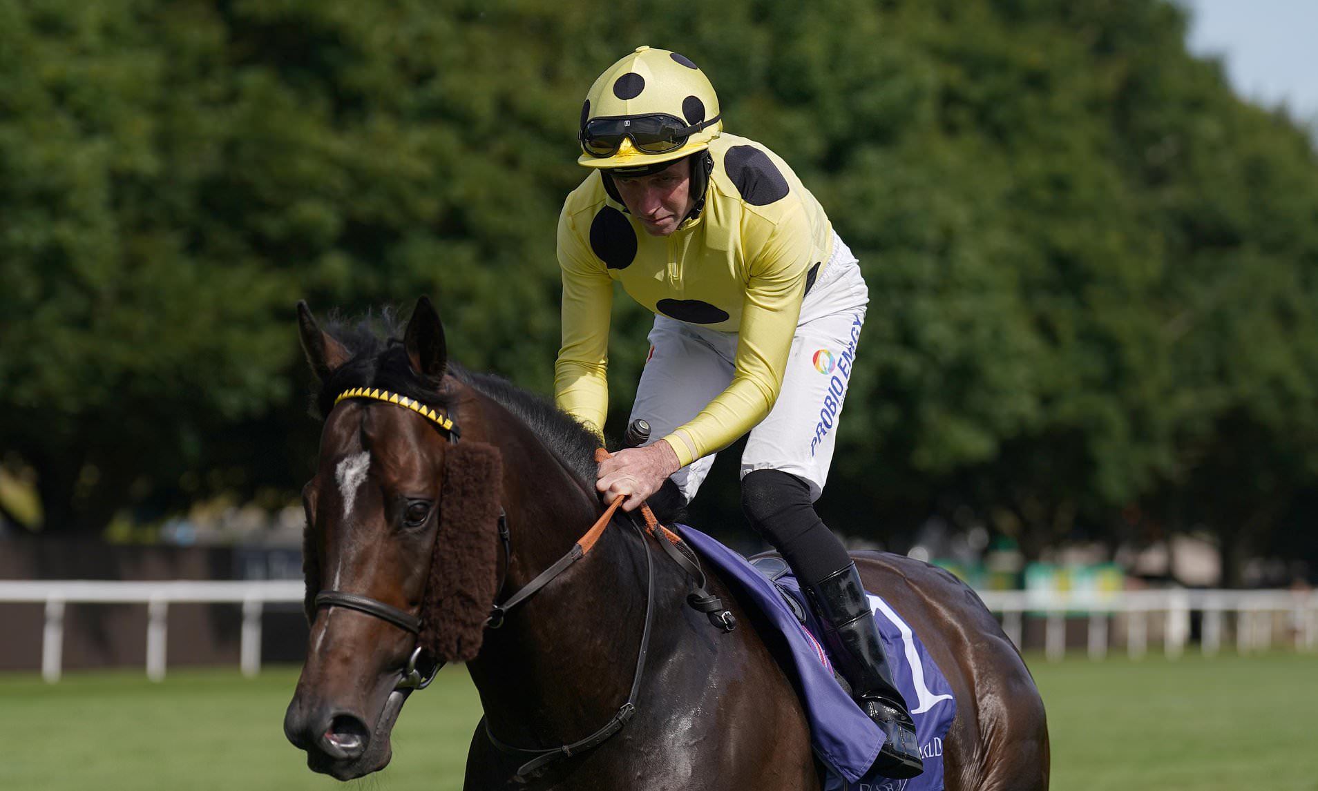 Robin Goodfellow's racing tips: Best bets for Wednesday, July 16