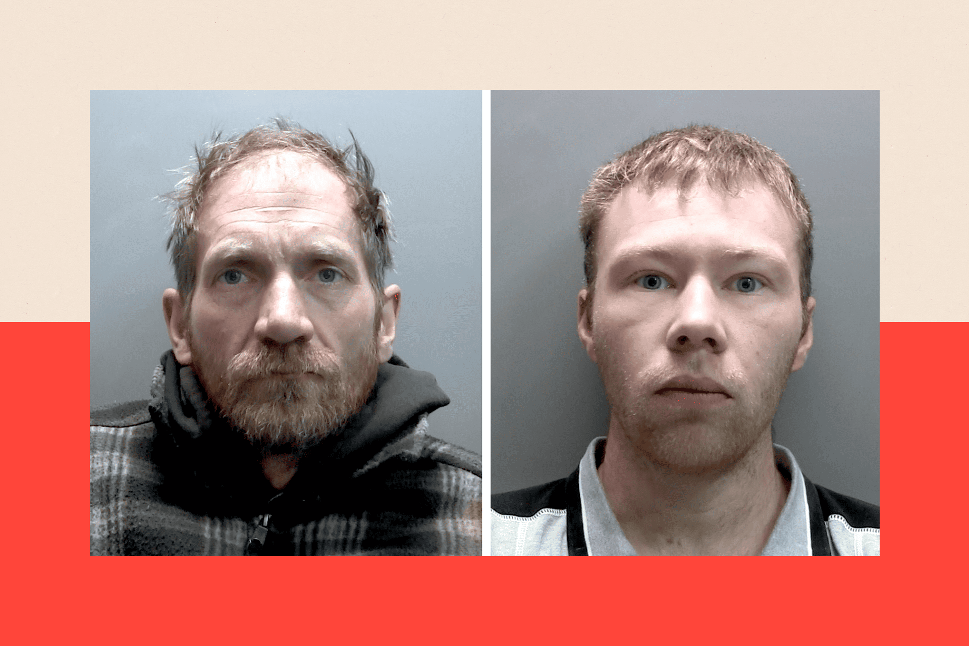 The fate of the Sycamore Gap tree has shed light on a deeper concern ...