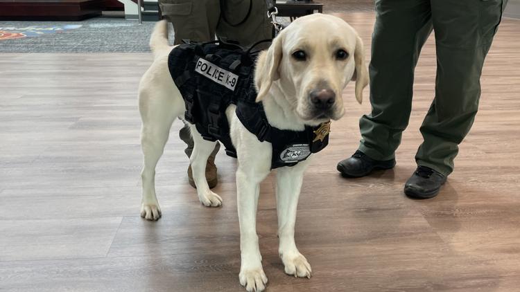 Meet Karl, Ohio’s newest bomb-sniffing pup with a nose for public safety