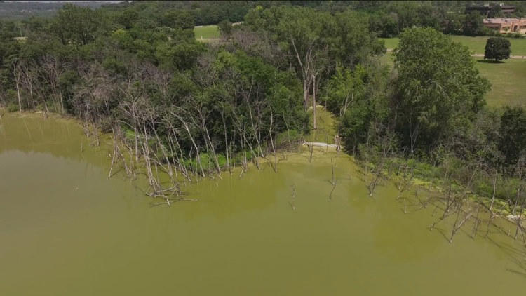 Minnesota residents seek solutions after 14,500 pounds of bird ...