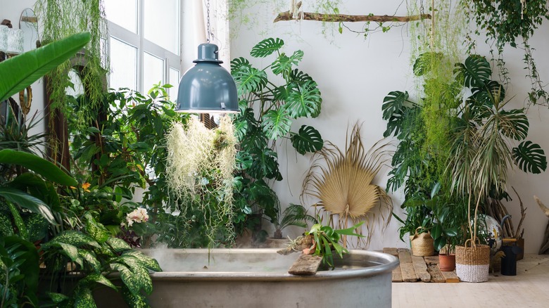 Crucial Grow Light Mistakes That Can Secretly Kill Your Plants