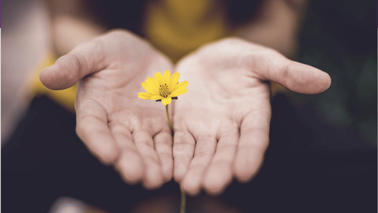 The Power of Gratitude: How a Simple Thank You Note Unlocked a CEO ...