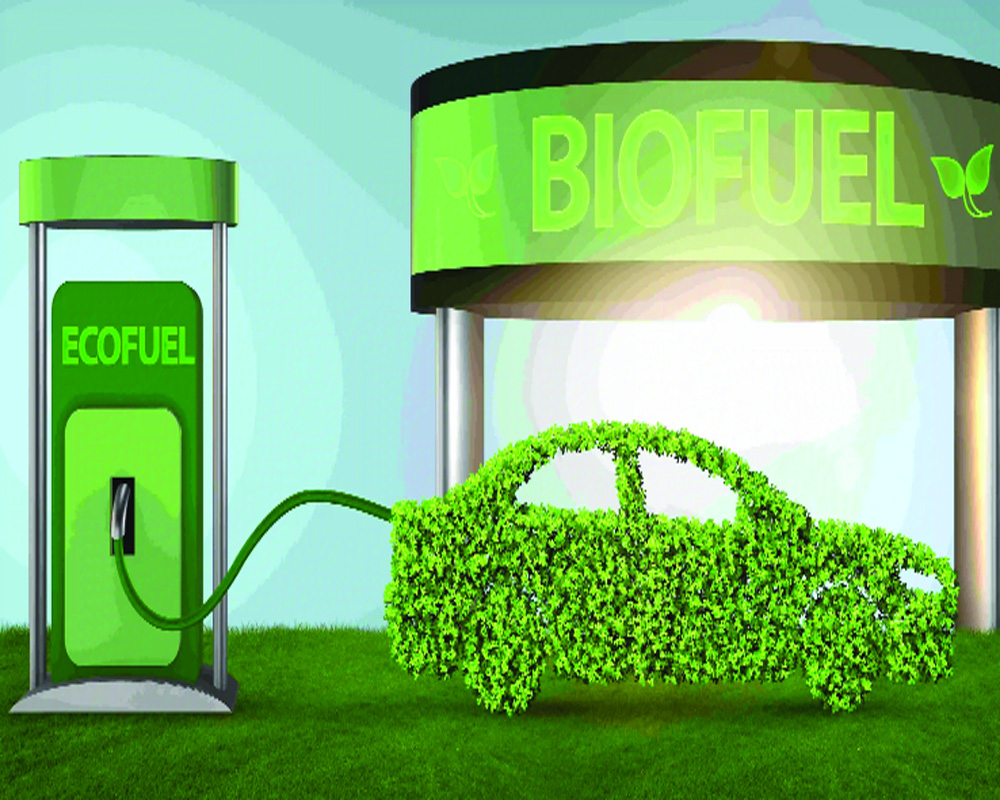 Biofuels in India: Opportunities and Challenges