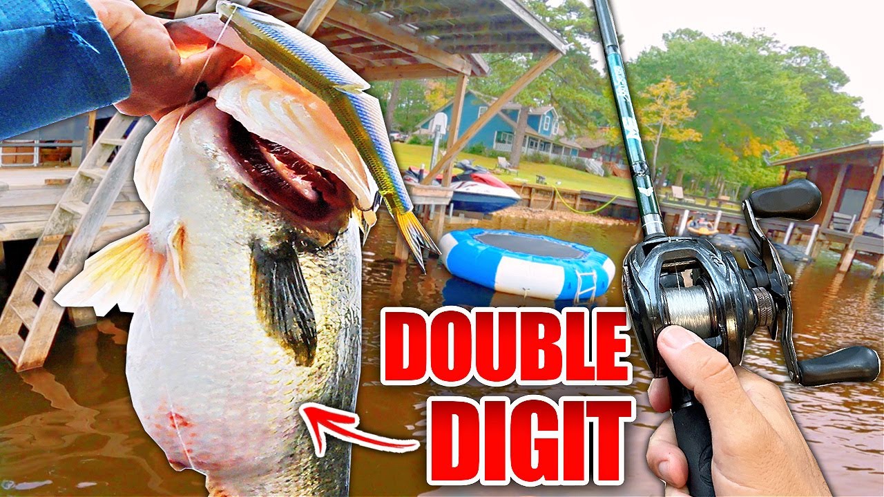 What Swimbaits Can Teach About Landing Trophy Bass