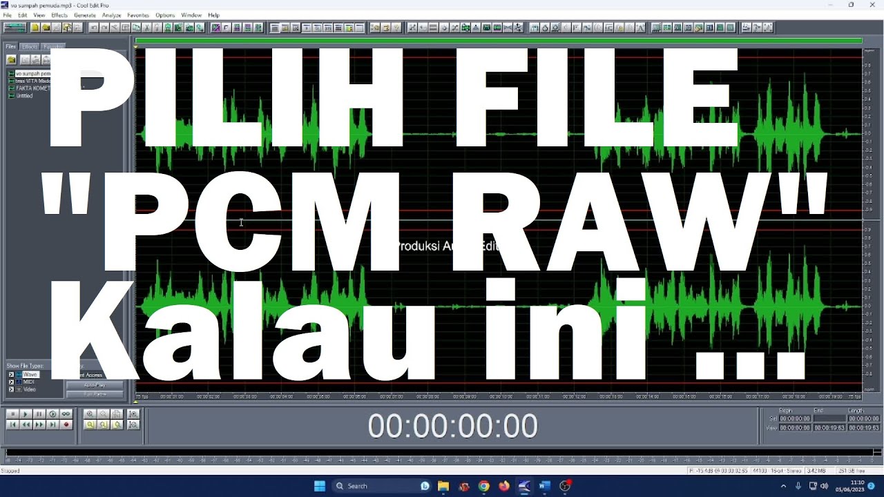 Cara Mengenal File PCM Raw Data Di Cool Edit Pro - Adobe Audition