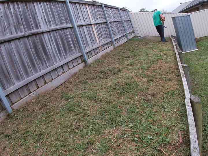 Lawn Care: Four Properties Mowed on a Recovery Day