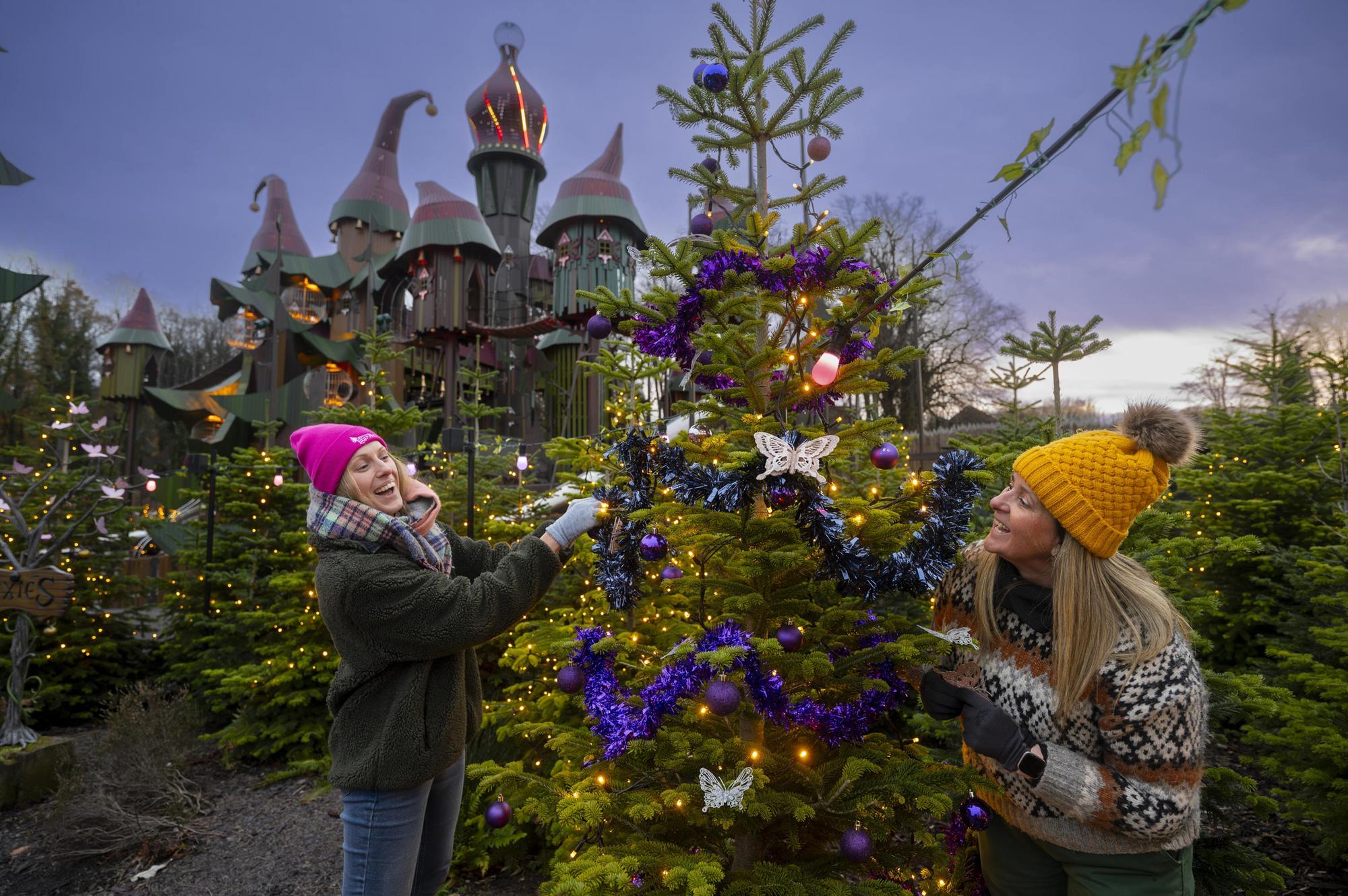 Plans hotting up for The Alnwick Garden’s Winter Light Trail as tickets ...
