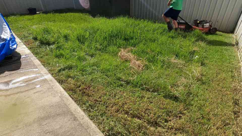 Tall Grass Cutting in Australia: Precision Tools for Lawn Domination