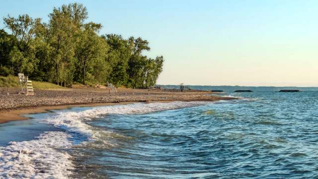Scientists stunned after discovering long-lost fish thriving in lake ...
