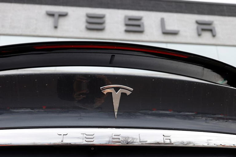Elon Musk's Tesla on trial after autopilot car kills stargazing woman ...