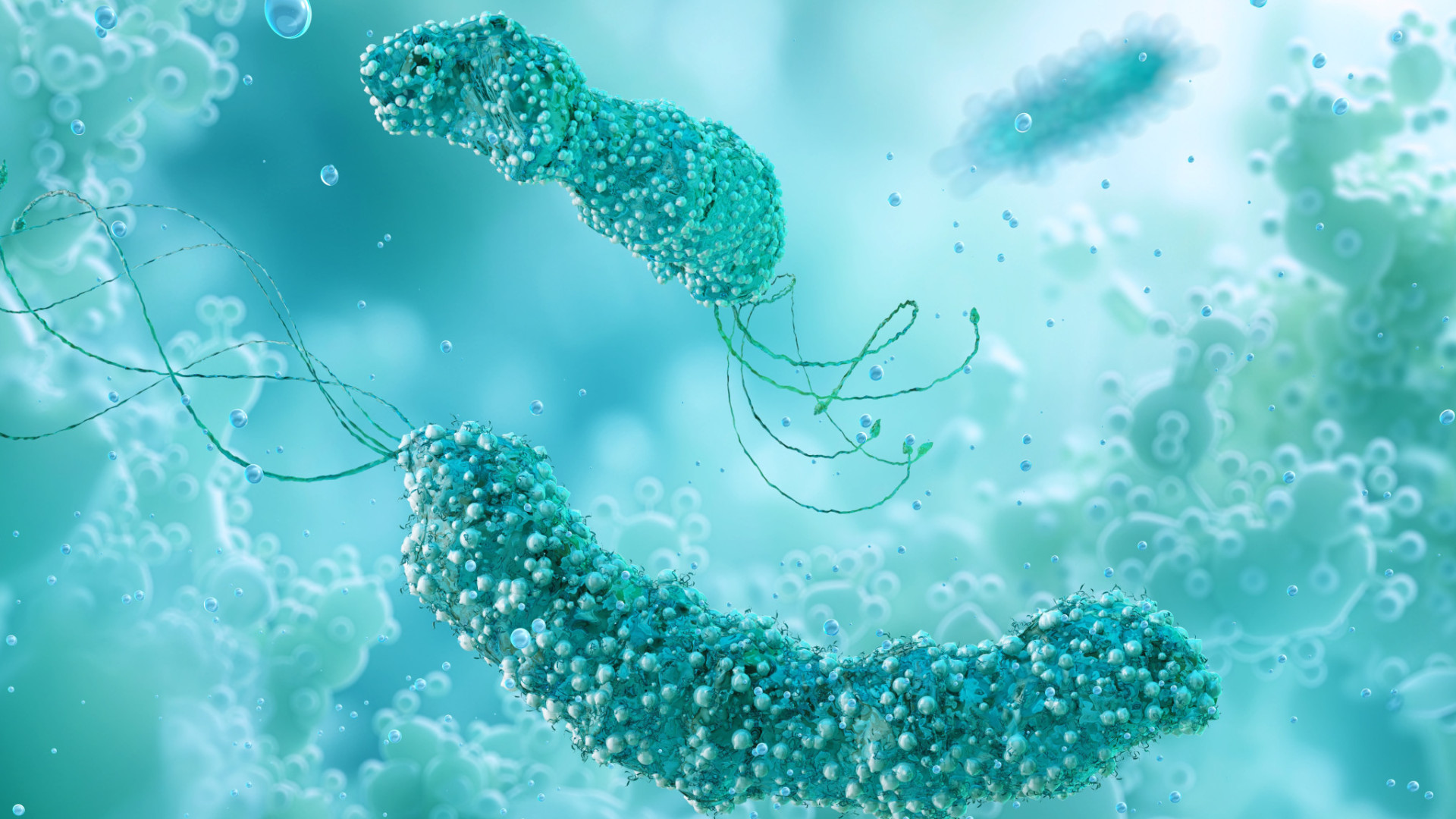 Tämä bakteeri voi aiheuttaa miljoonia syöpätapauksia