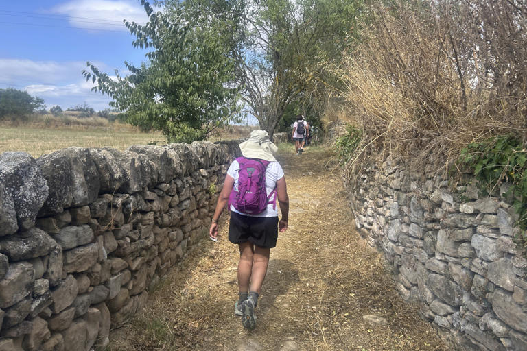 One tireless Jesuit keeps alive a pilgrim path for St. Ignatius in Spain
