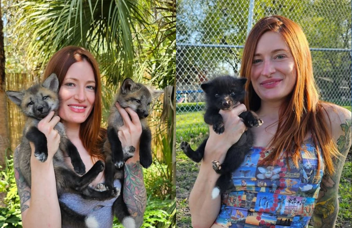 How did Mikayla Raines die? YouTuber and SaveAFox founder's cause of ...